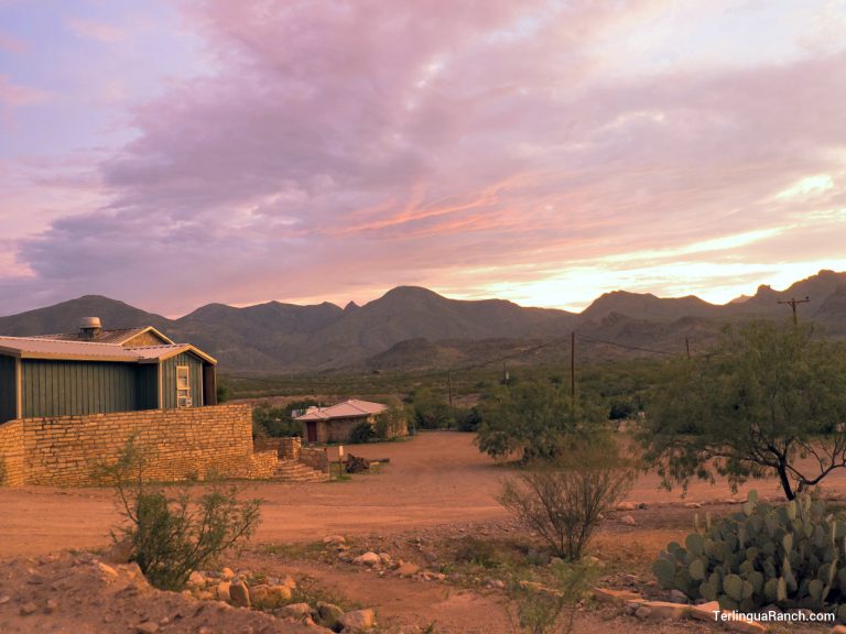 Big Bend Photos: Pictures Taken At & AroundTerlingua Ranch Lodge